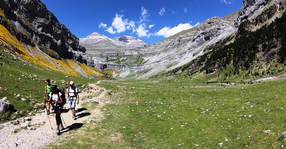 Experience the Bloom of Summer | The Pyrenees | Collett's