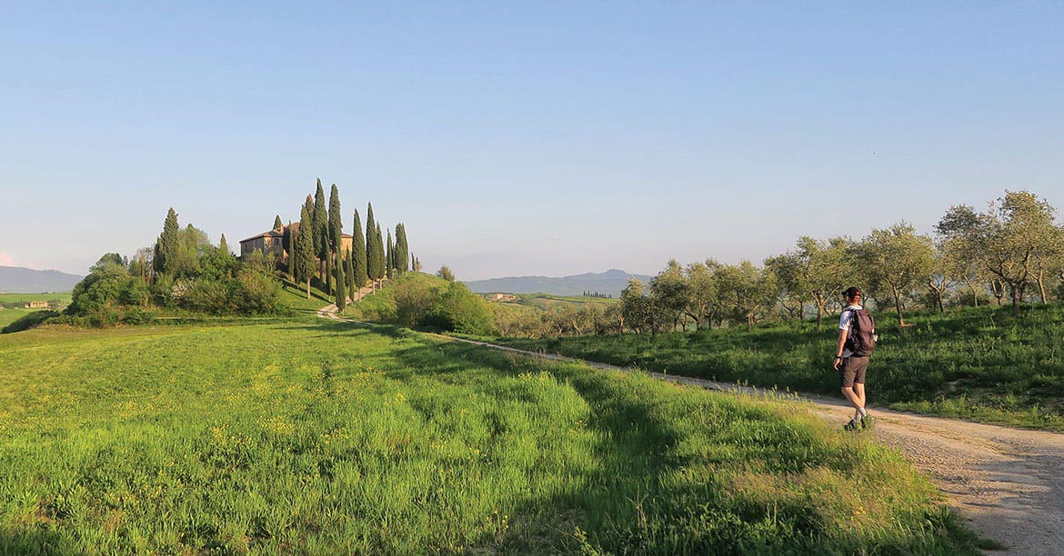 Walking Holidays In Tuscany | Best of Val d’Orcia | Collett's