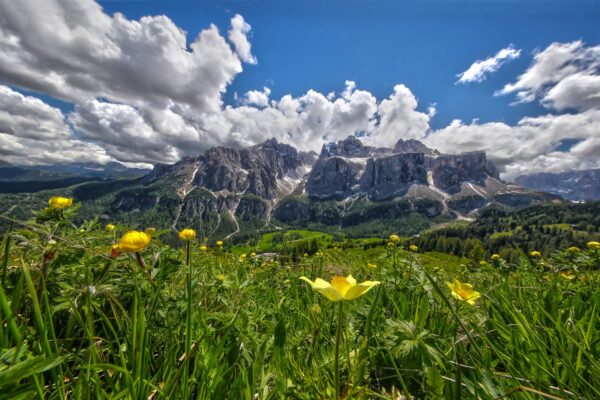 Walking Holidays Skiing Holidays In Italy Colletts